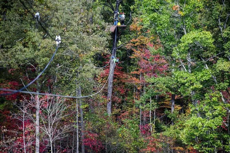 9 Best Zipline in the Smoky Mountains Pigeon Forge Area
