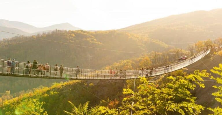 Gatlinburg SkyBridge: Everything You Need To Know